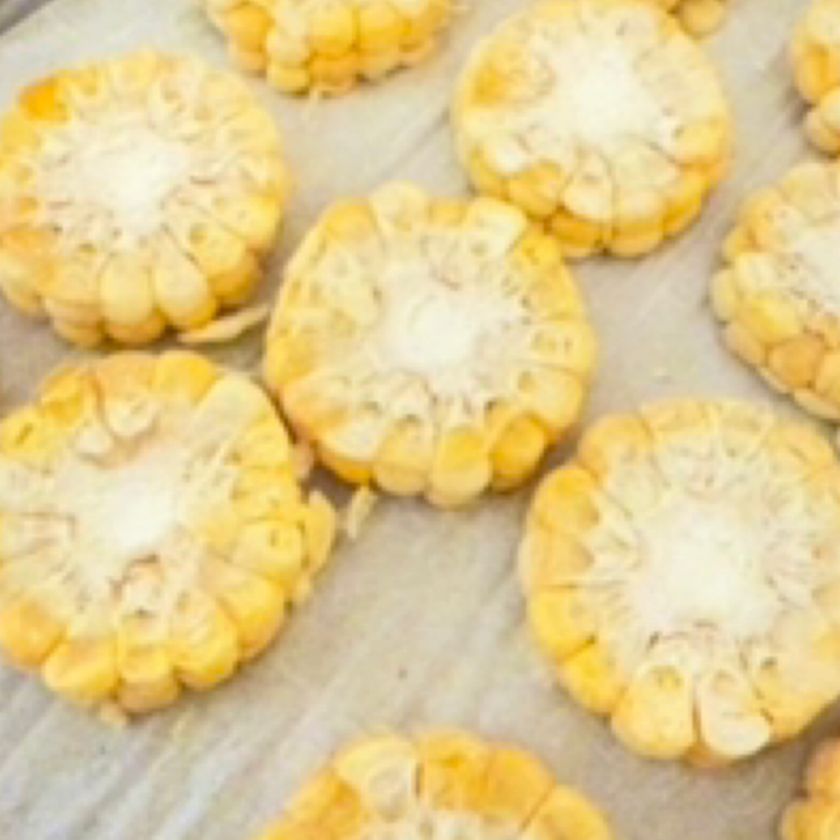 Freeze Dried Corn Wheels Large | Royal Avian Plus 1171Robert Blvd ...